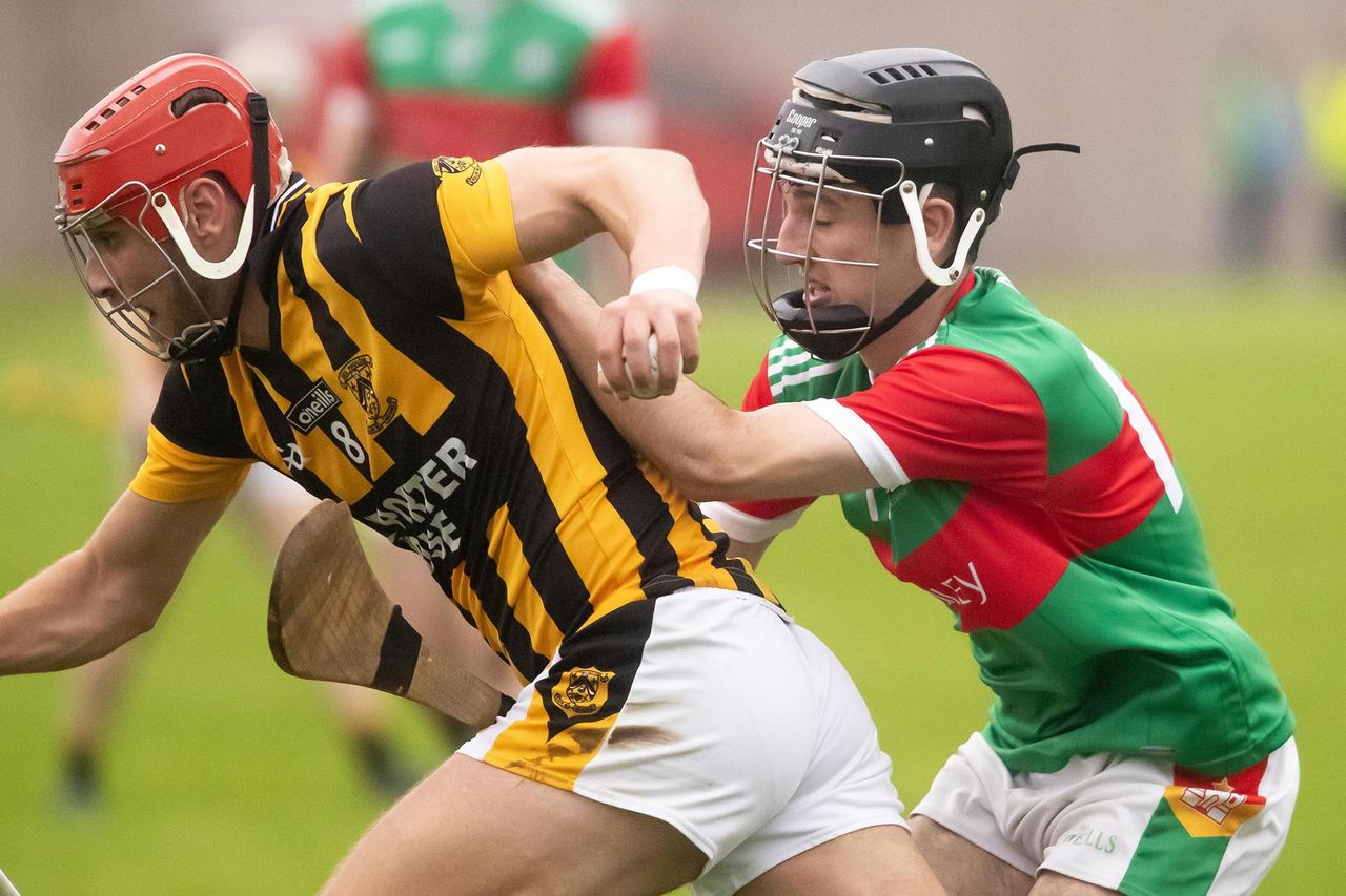 Rapparees recover to share the spoils with Shelmaliers in Wexford ...