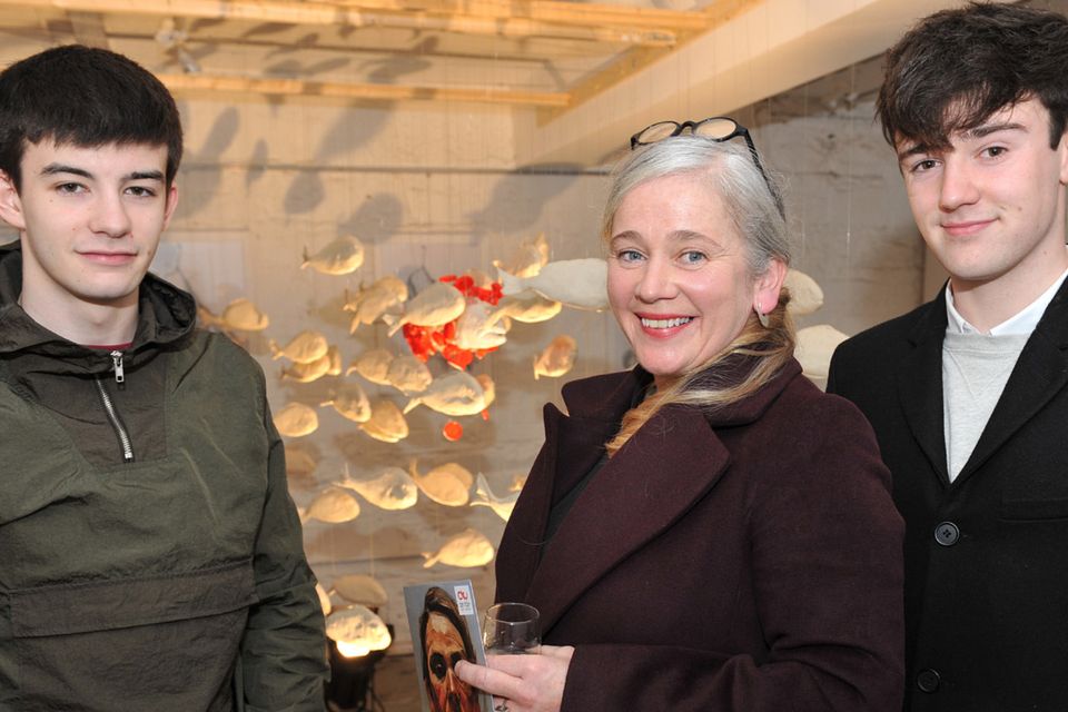 Leanne's solo exhibition opens in Basement Gallery | Irish Independent