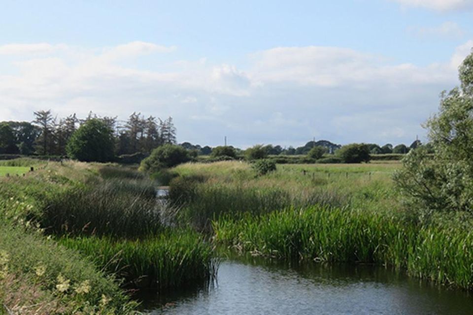 Teagasc guide to improving our water quality | Irish Independent