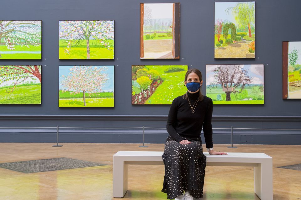 David Hockney exhibition unveiled at the Royal Academy | Irish Independent