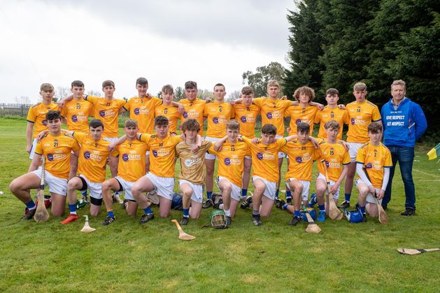Wicklow Gold produce top performance to claim first victory | Irish ...