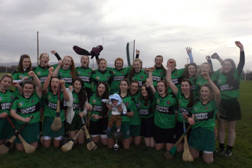 Comprehensive win for Causeway | Irish Independent