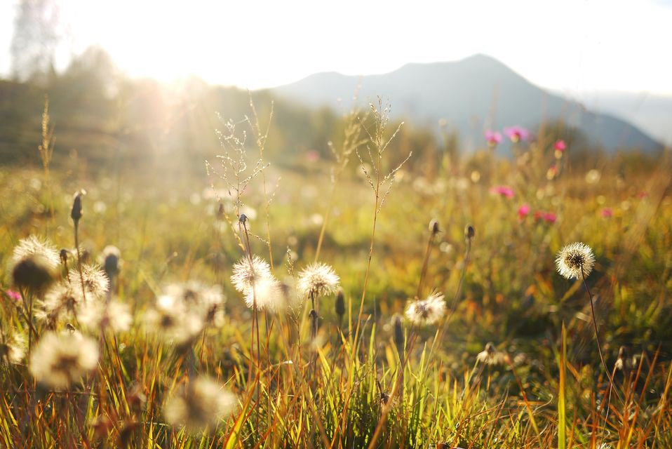 Invest In Our Planet: How can I be more sustainable? | Independent.ie