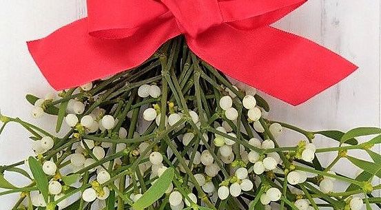 Mistletoe is not closely related to other wild plants | Irish Independent