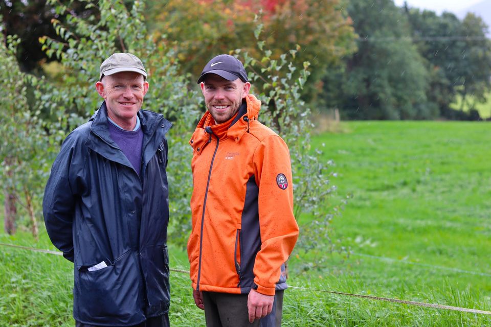 How to optimise grass growth – top tips from this award-winning ...