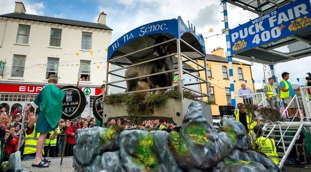 Make a Kerry cultural festival part of your 2023 summer staycation in ...
