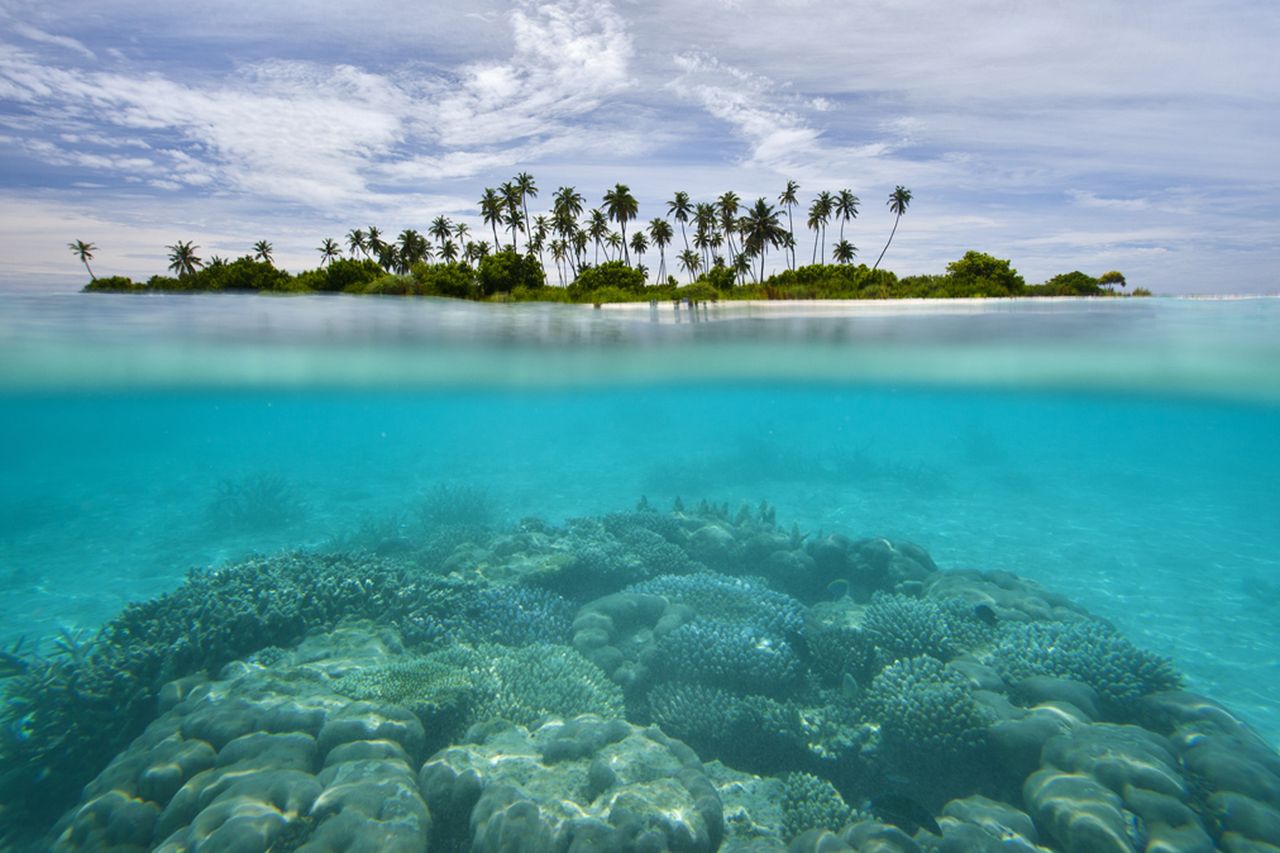Paradise Found: Which are the best islands to visit in the Maldives ...