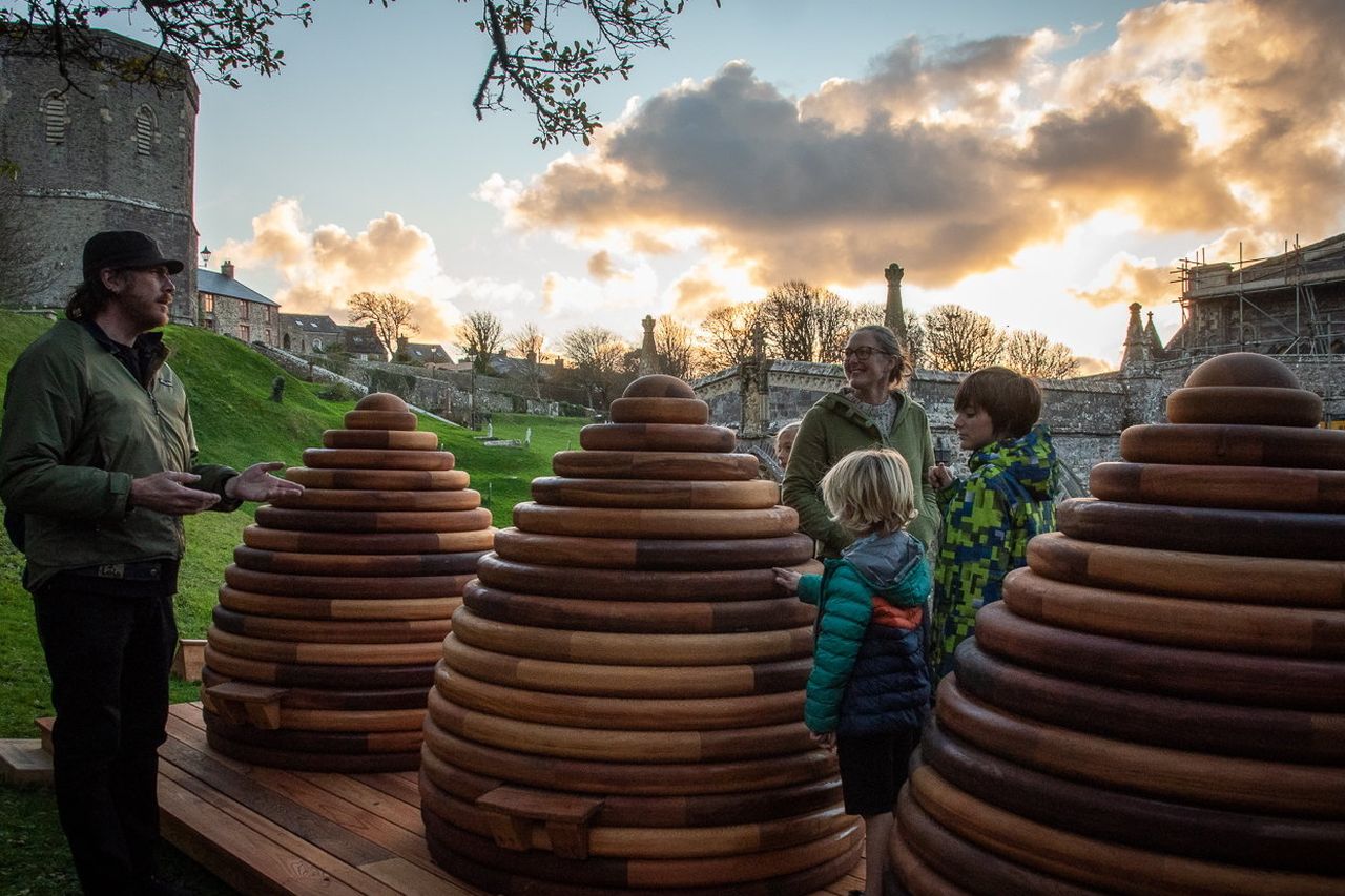 Bee colonies come to Ferns as part of ancient connections project with ...