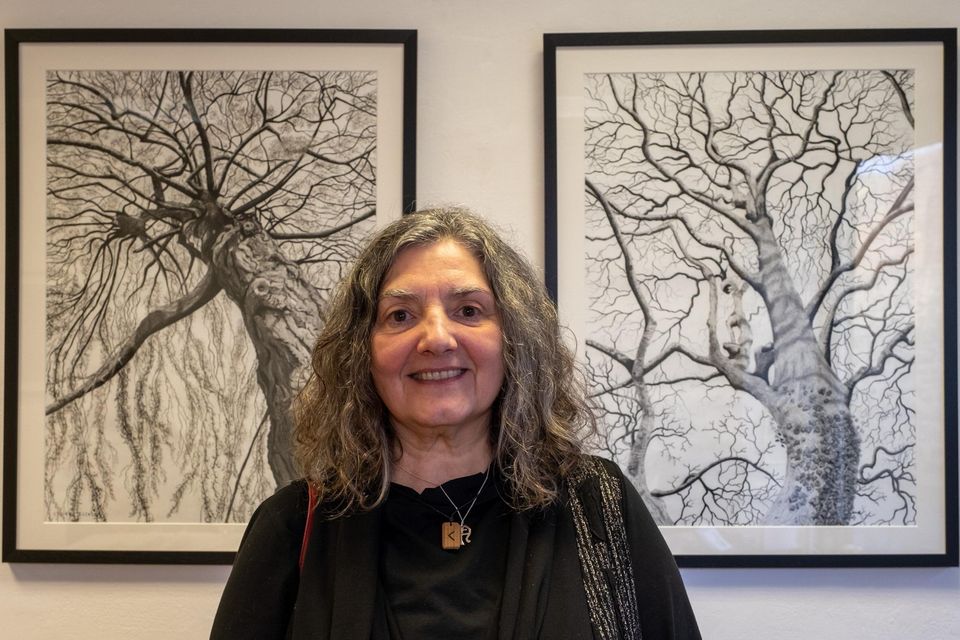 Wicklow artist Claire Buckley exhibits at Bray’s Signal Arts Centre ...