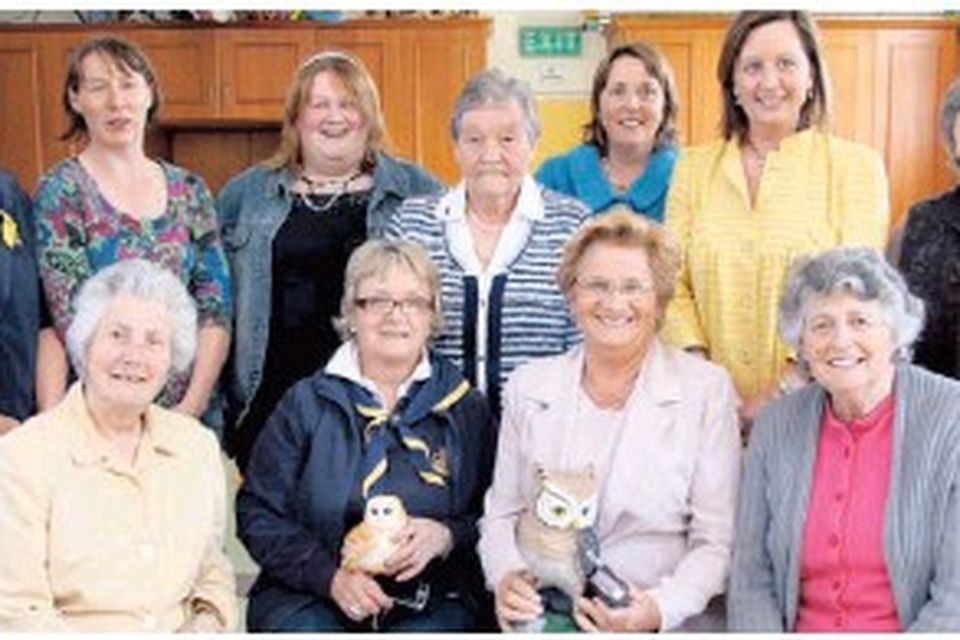 Brownies mark 50 years | Irish Independent