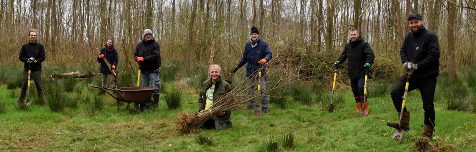 Schoolchildren in Baldoyle join More Trees Now initiative to re-plant ...