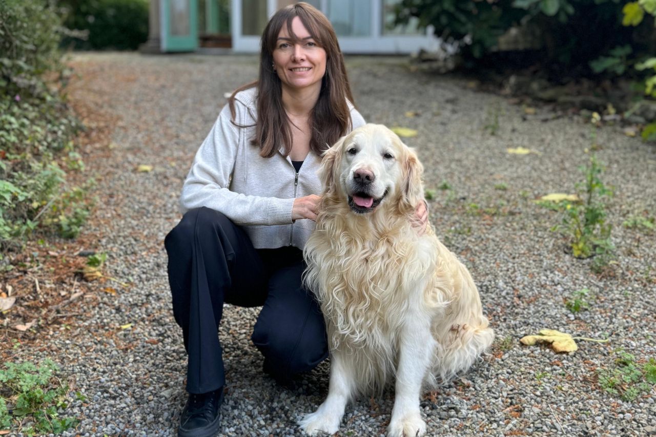 Ukrainian refugee's dog inspires stunning collection at Art Source in ...