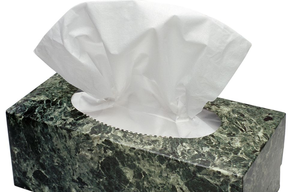 Sneeze Patrol: How to fight seasonal allergies | Irish Independent