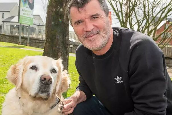 Co Wexford school holding charity walk for the Irish Guide Dogs ...