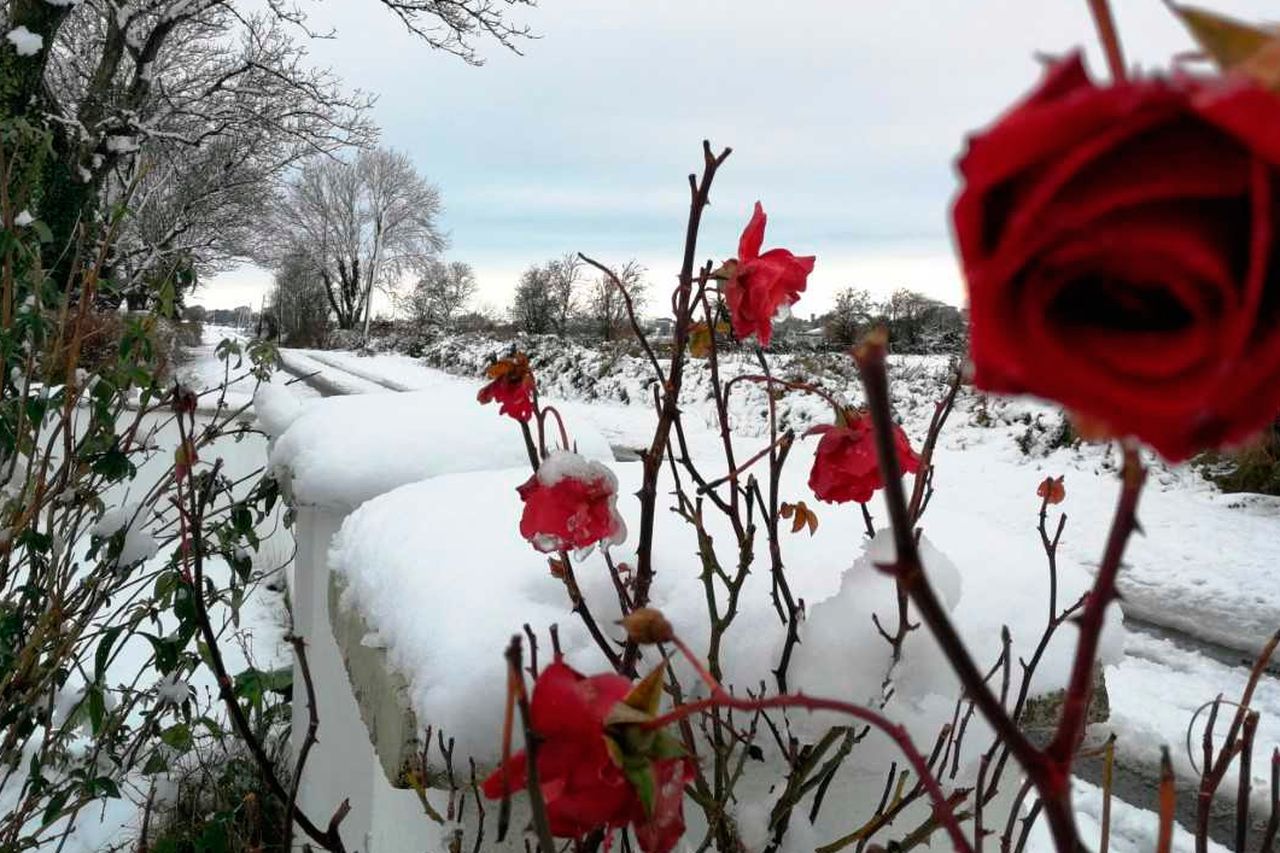 The most amazing snow pictures so far as freezing blast hits | Irish ...