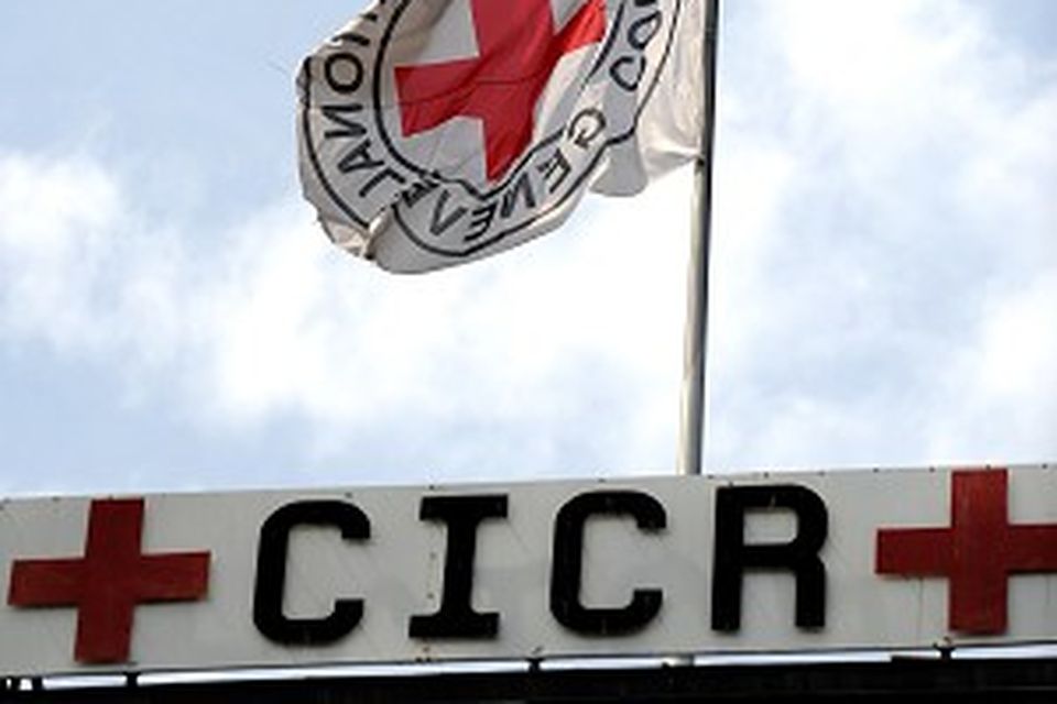 Red Cross 'can't cope' in Syria | Irish Independent