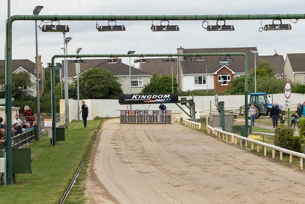 Irish Derby contender Ryhope Beach breaks 29.00 second in Tralee trial ...