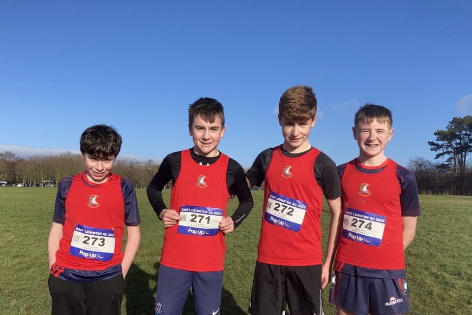 Schools Report: Coláiste Chill Mhantáin and East Glendalough School ...