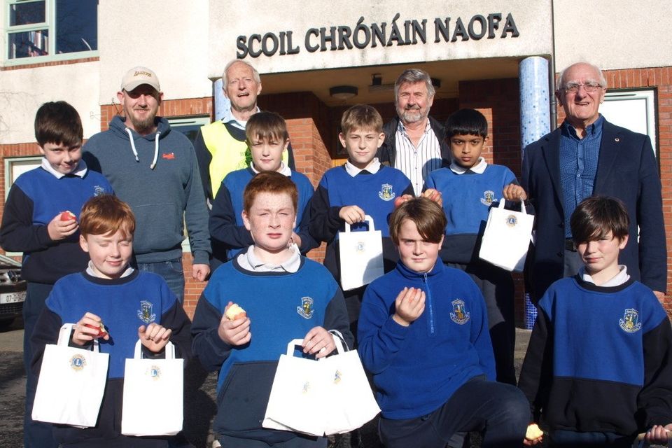 Bray Lions Club mark World Diabetes Day | Irish Independent
