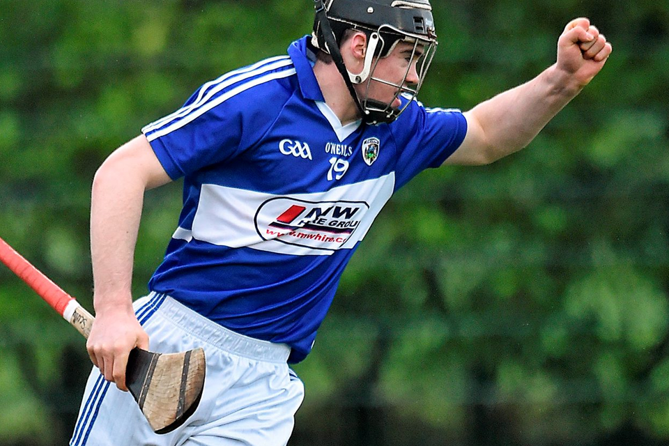 Dowling gets Laois off to a flier | Independent.ie