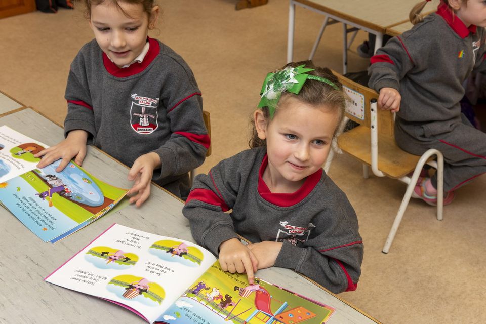 Donabate school children get first look at the books they inspired ...