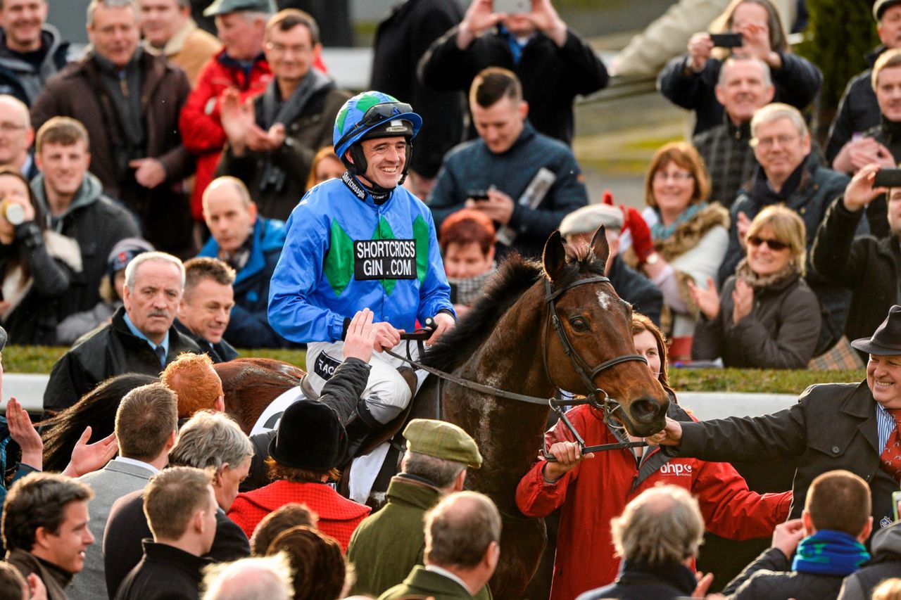 Five-star Hurricane Fly is still on a high | Irish Independent