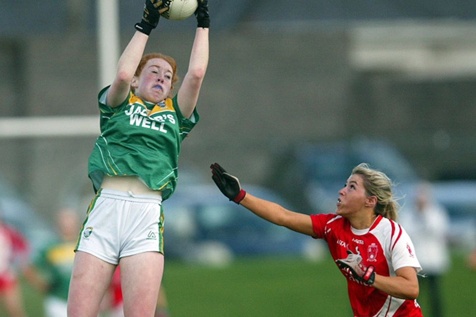 Tinahely power to Intermediate title at expense of brave Clara | Irish ...