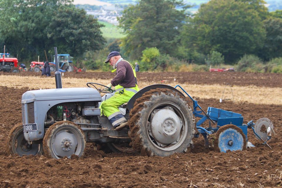 Enjoyable day of classic ploughing in Carnew | Irish Independent