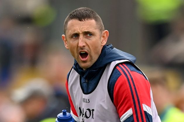 Next Kerry senior hurling manager to be finalised this week | Irish ...