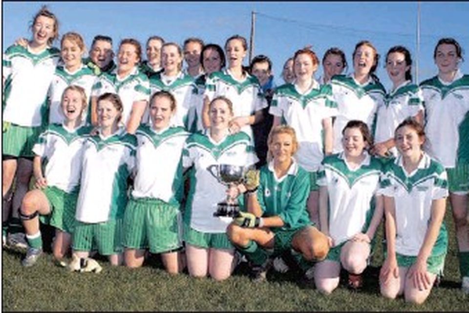 Crossabeg-Ballymurn shine | Irish Independent