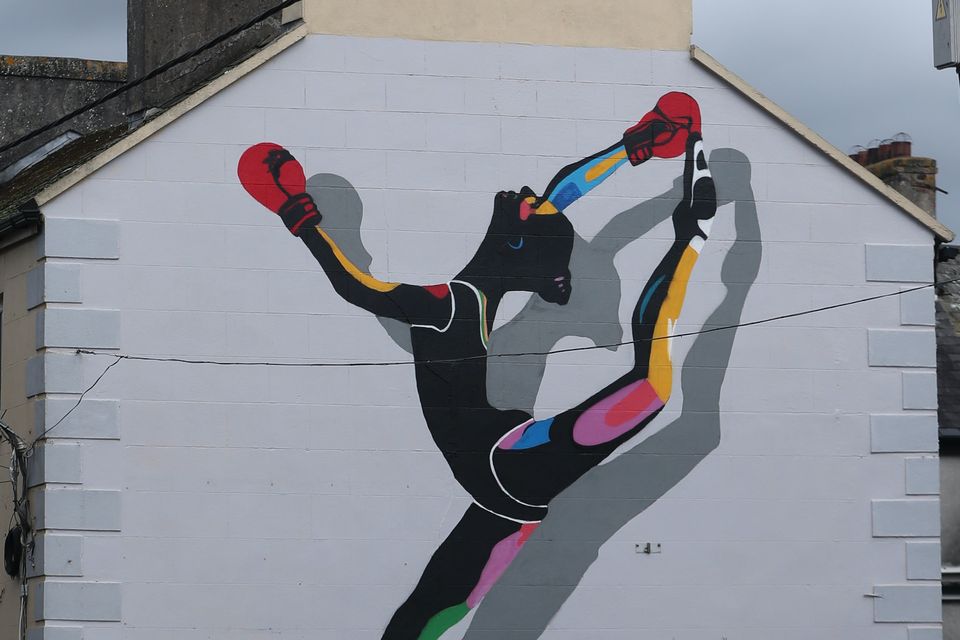New mural helps launch sign language festival | Irish Independent