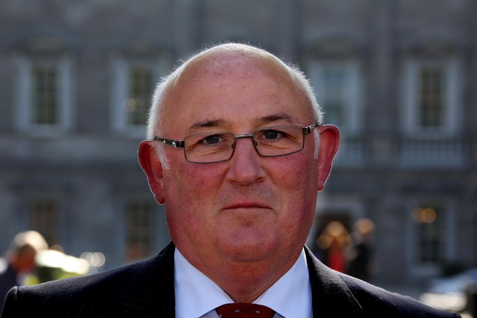 Senator heads to court to end ‘toleration’ of RAF flights over Republic ...