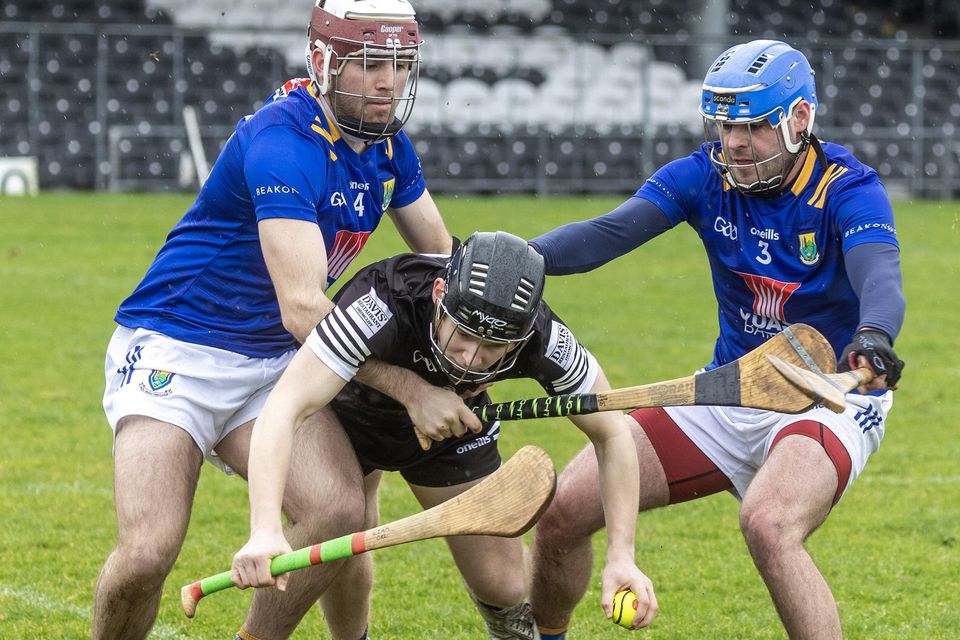Sligo edge Wicklow in dead rubber ahead of Donegal visit | Irish ...