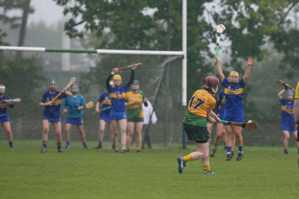 Katie Tyrrell secures sweet victory for Donard-The Glen with late point ...