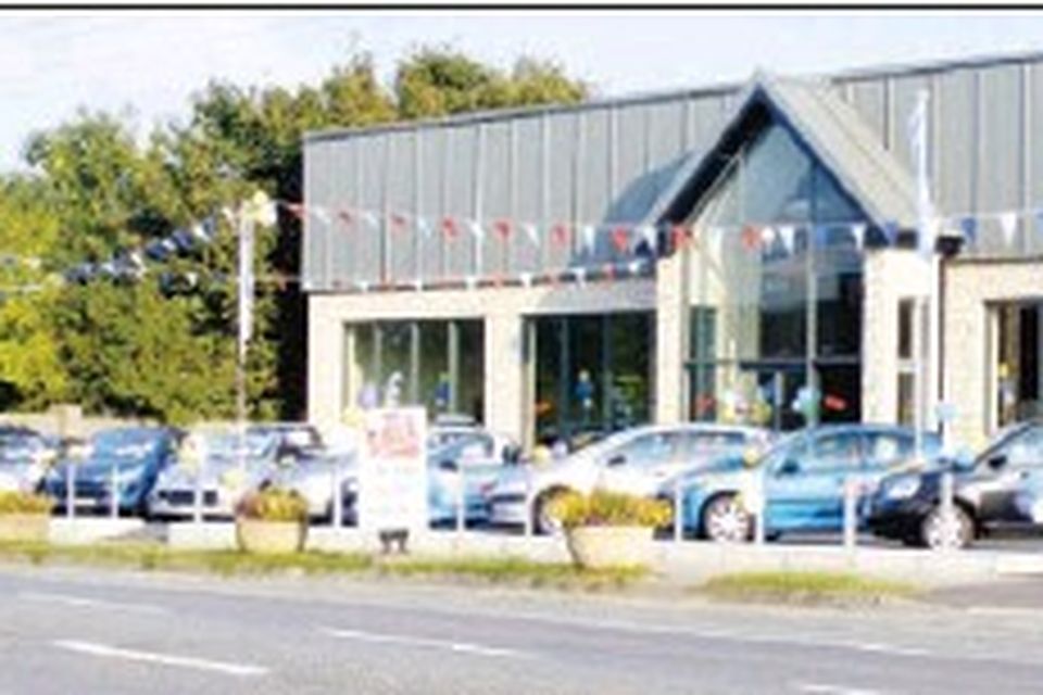 Camolin Car Centre | Irish Independent