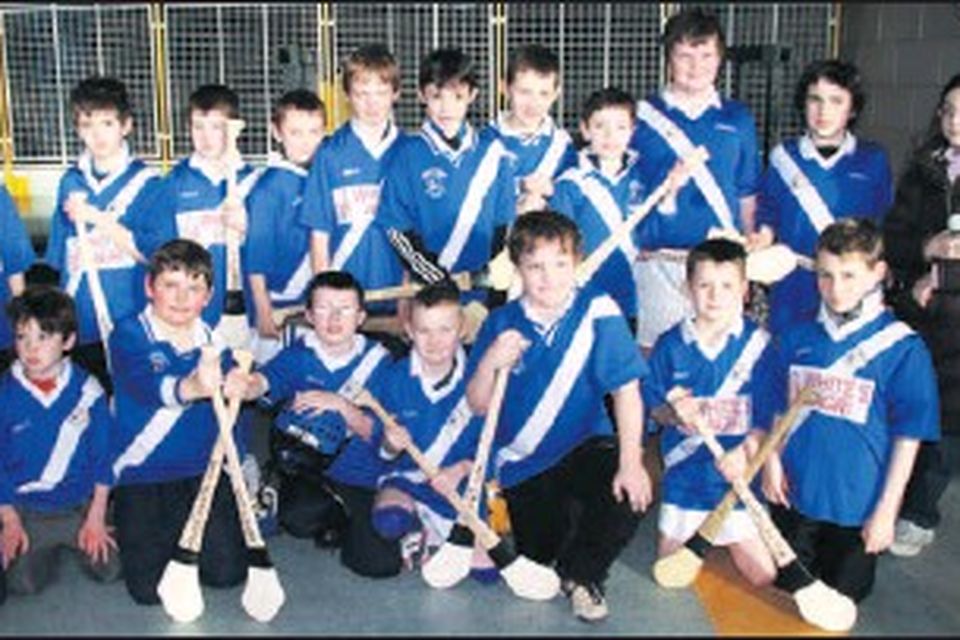 St Maur's teams shine at annual hurling contest | Irish Independent