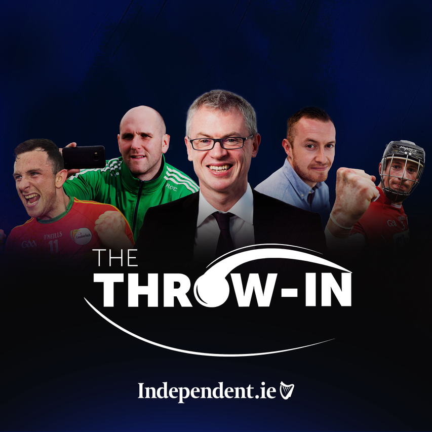 Eamonn Sweeney: Austin Gleeson is the good, bad and ugly that embodies ...