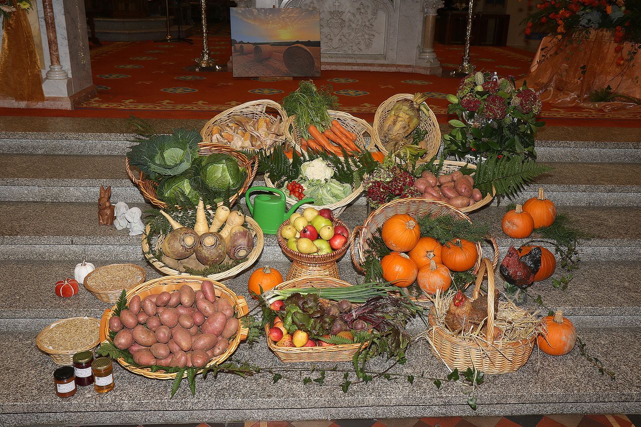 Wexford IFA hold special thanksgiving mass for farmers | Irish Independent