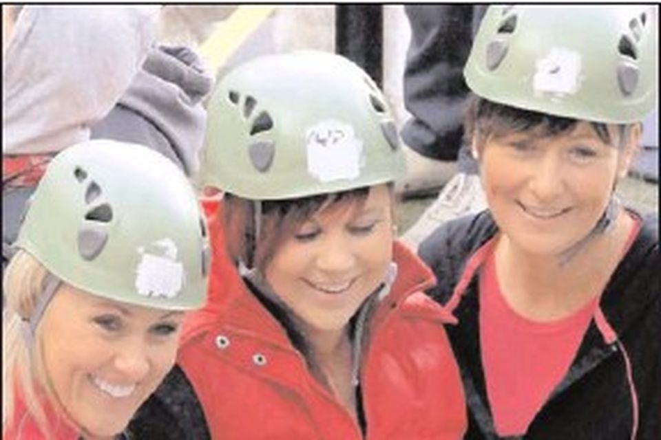 Abseiling . . . up the Aviva stadium | Irish Independent