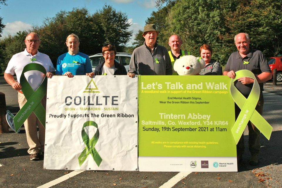Tintern hosts first walk and talk IFA mental health event | Irish ...