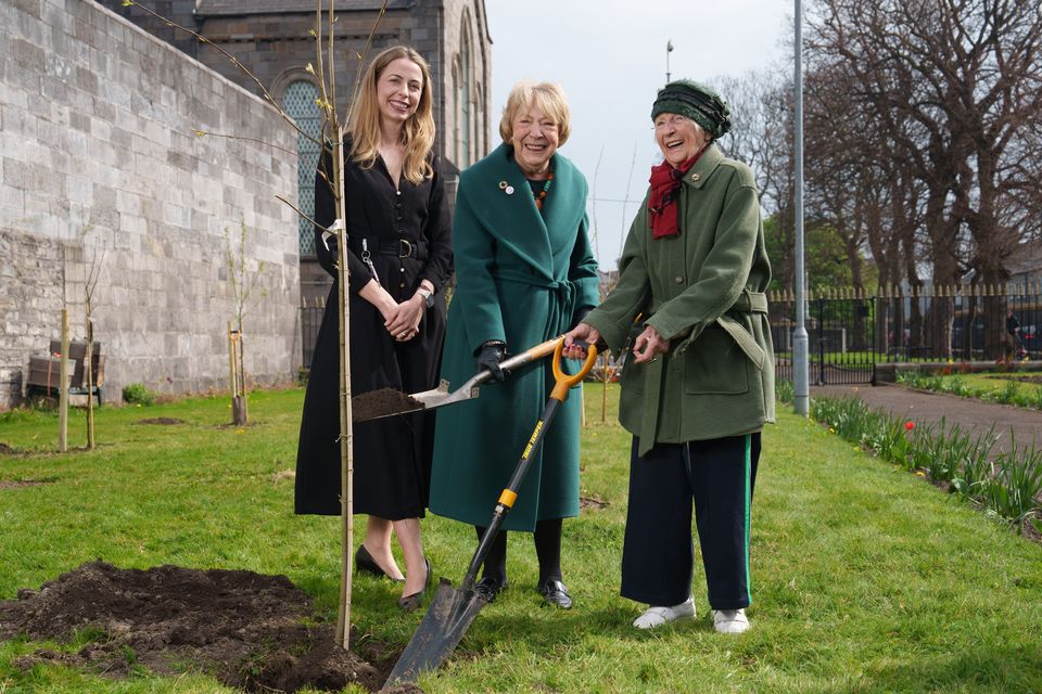 Woman (103) helps plant 600,000th tree in project that aims to plant ...