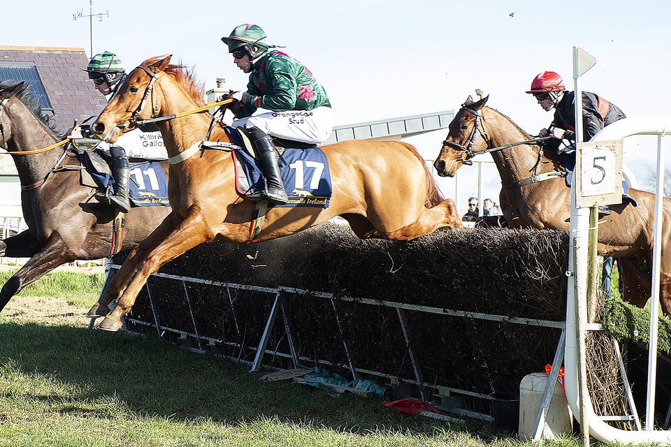 Rob James in 300 club, while Barry O’Neill enjoys a weekend five-timer ...