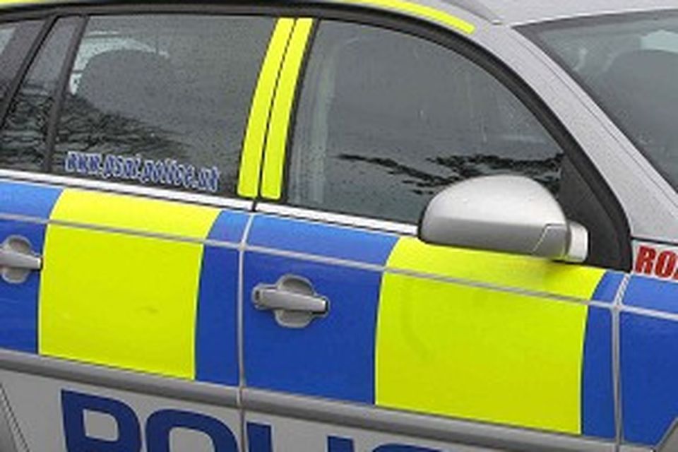Teenager has part of ear bitten off | Irish Independent