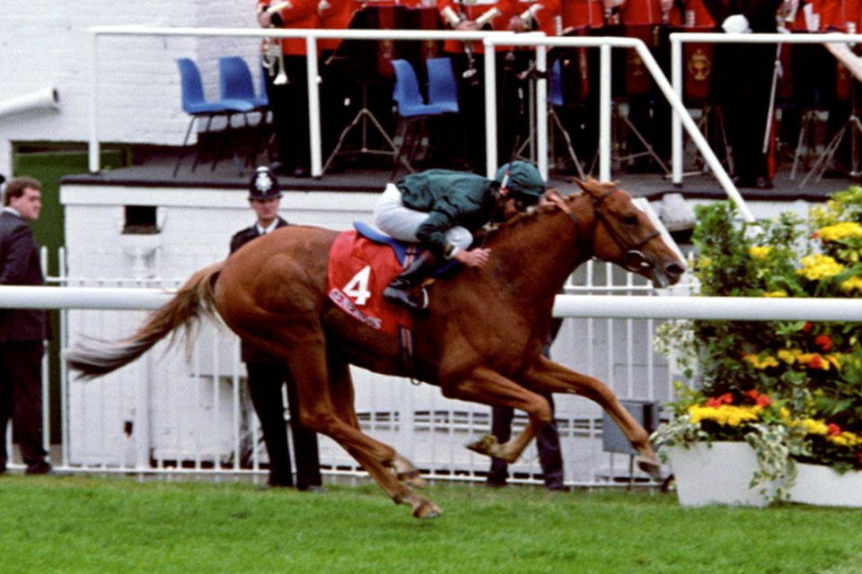 Derby winner Generous dies age 25 | Irish Independent