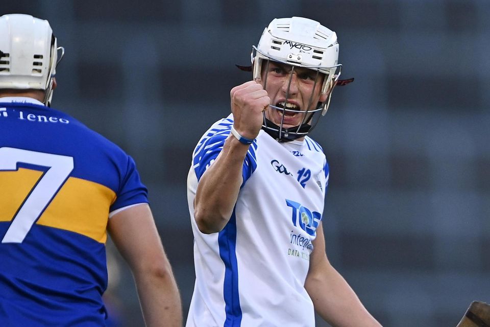 Reuben Halloran shoots SETU Waterford into Fitzgibbon Cup quarter ...
