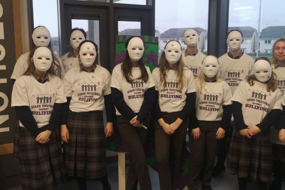 Standing up against bullies is theme for Ardee CS | Irish Independent