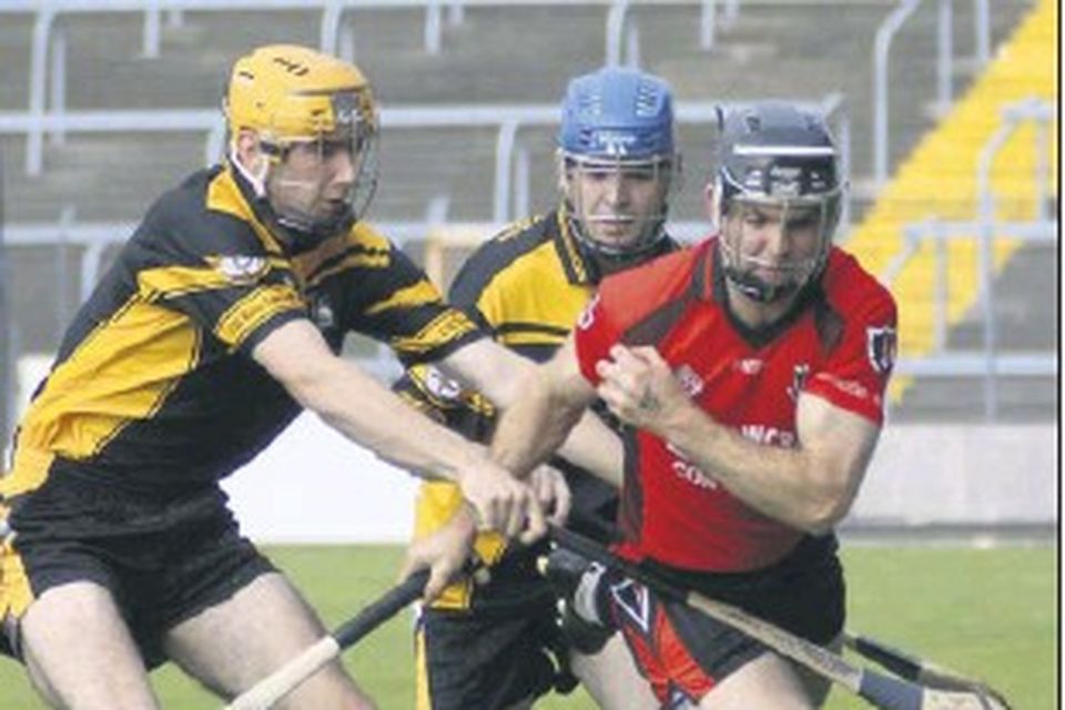 Rampant titleholders in total command | Irish Independent