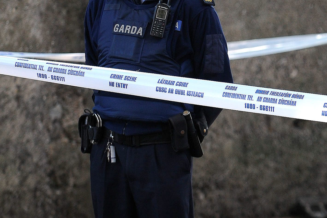 Garda inspector numbers to be boosted by a third to cope with ...