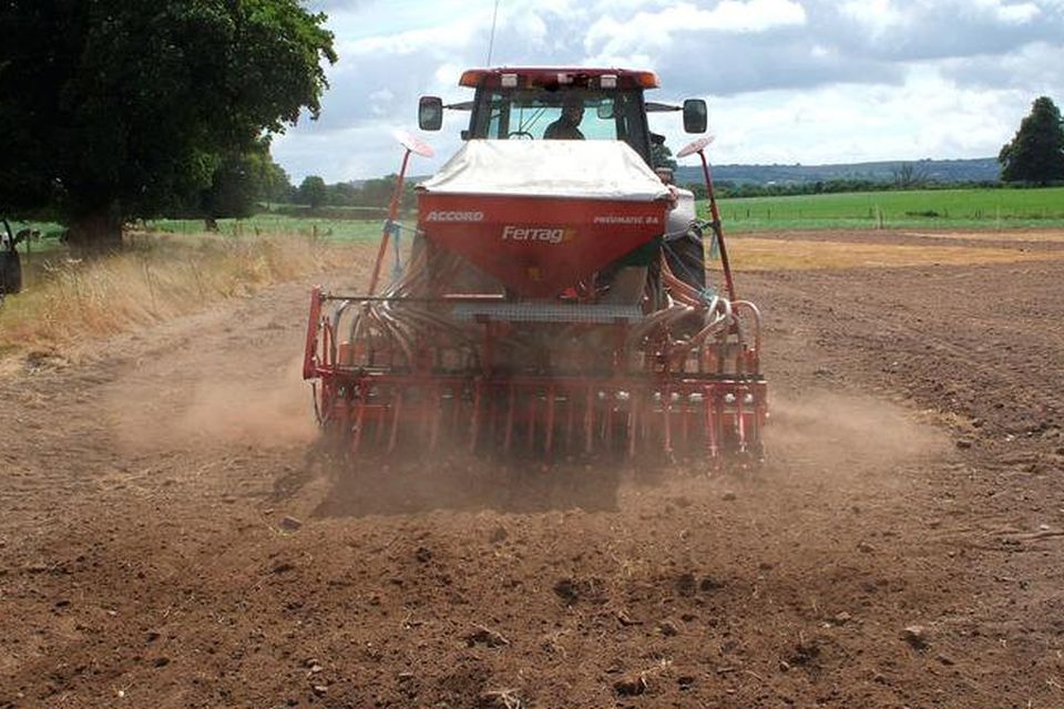 Reseeding can deliver big results within two years | Irish Independent