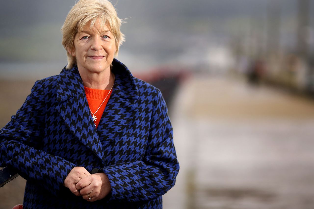 Chief Whip wanted to ‘bring down Coalition’ says Ferris | Irish Independent